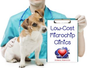 rp_Microchip-Clinics-300x235.jpg - Joint Animal Services