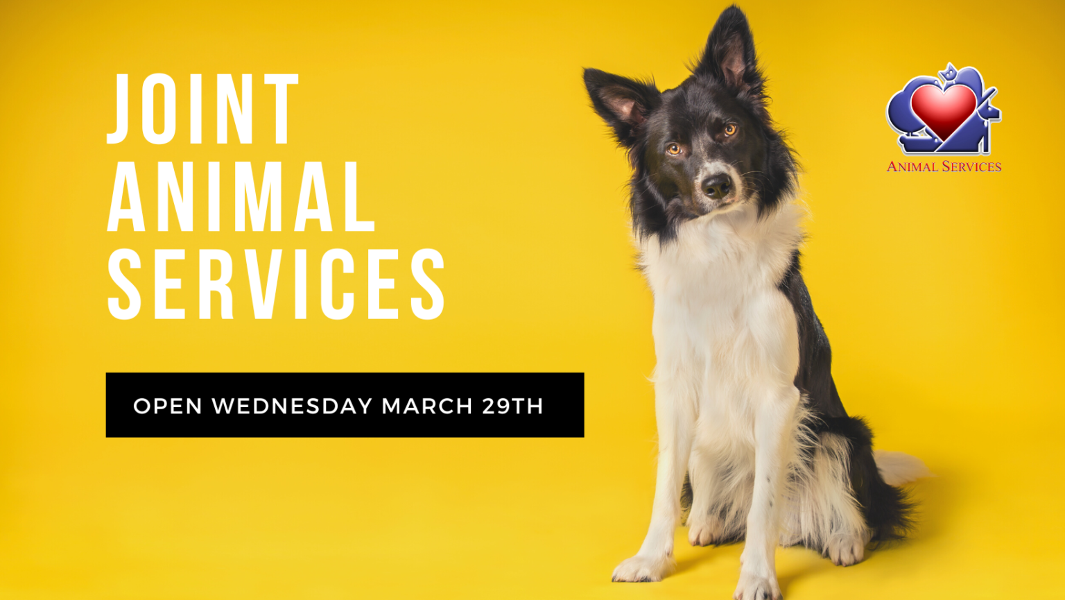 UPDATED: REOPENING AFTER REPAIR - Joint Animal Services