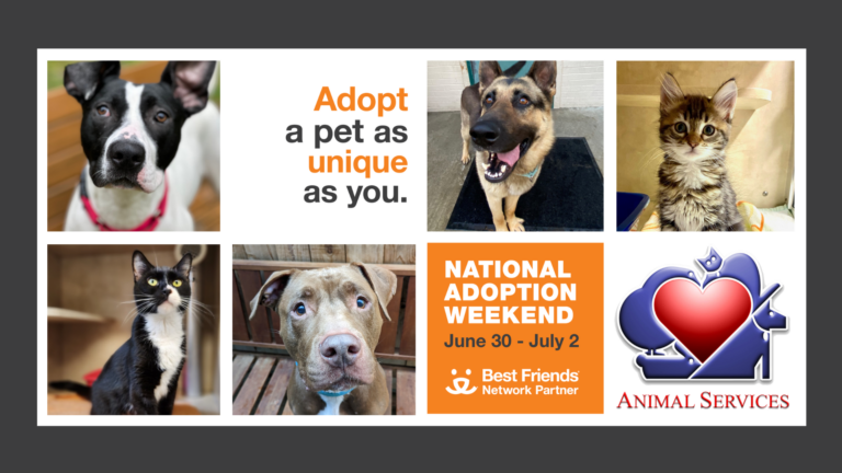 National Adoption Weekend June 30 - July 1 - Joint Animal Services